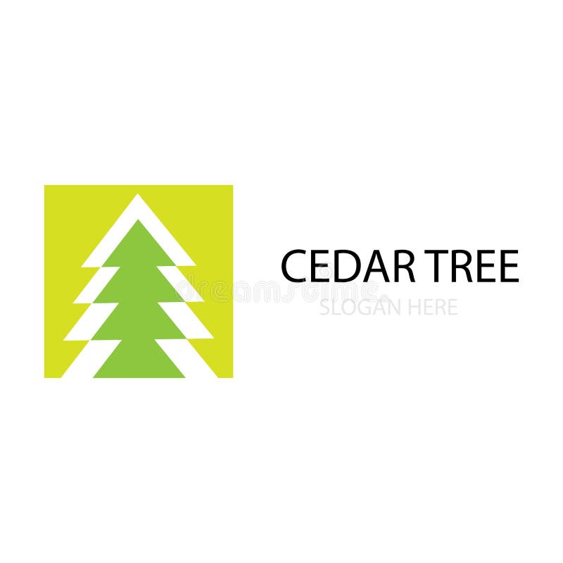 Cedar tree logo vector stock vector. Illustration of house - 173995139