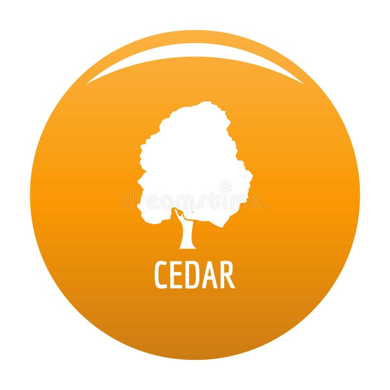Cedar Tree Icon, Flat Style Stock Vector - Illustration of shape, pine ...
