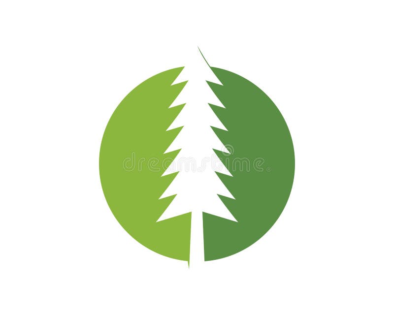 Cedar Tree Logo Template Illustration Stock Vector - Illustration of ...