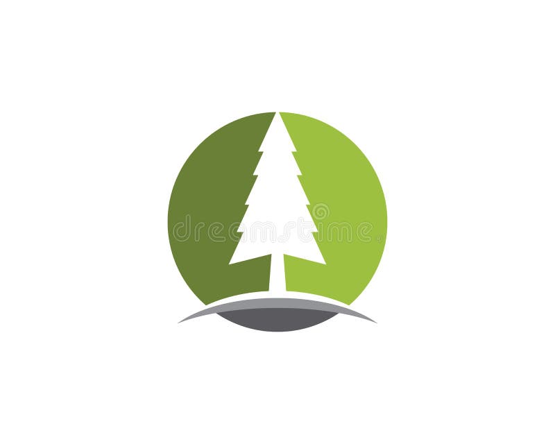 Cedar tree Logo template stock vector. Illustration of result - 119767527