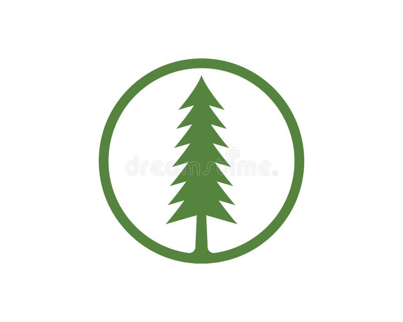 Cedar Tree Logo Template Illustration Stock Vector - Illustration of ...
