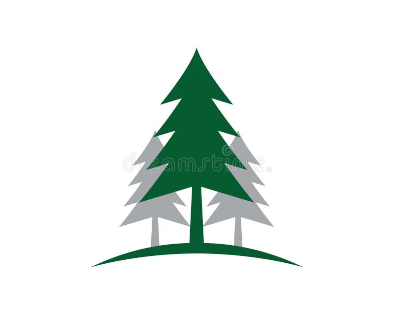 Cedar Tree Logo Template Illustration Stock Vector - Illustration of ...