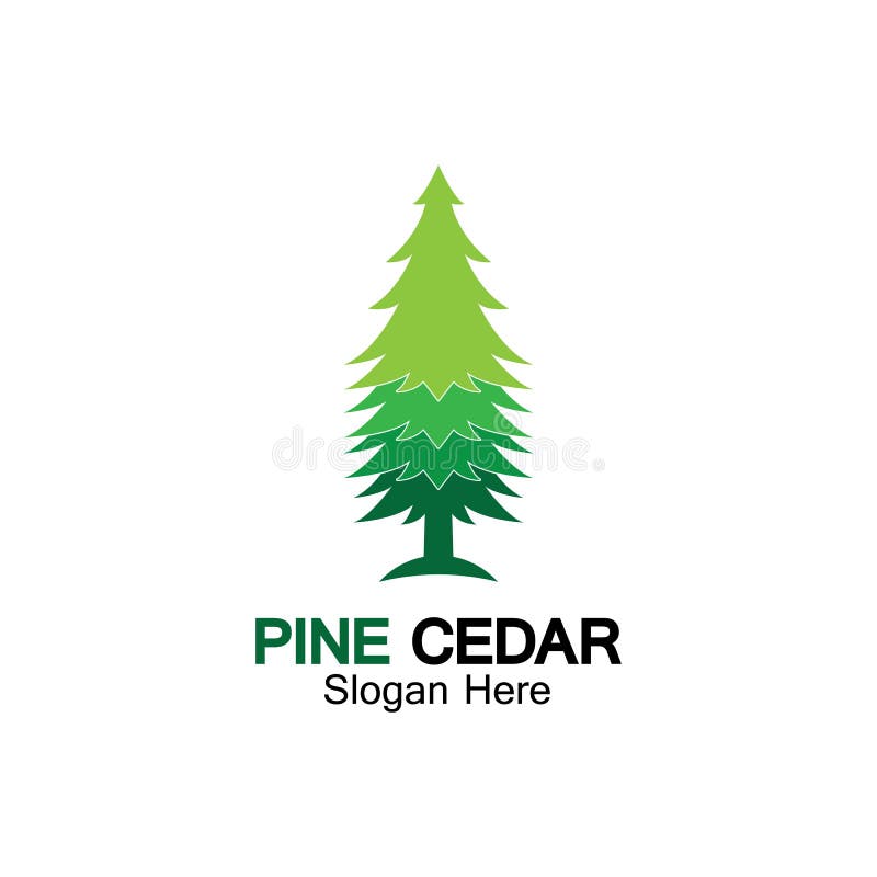 Cedar Tree Logo Template Vector Icon Design Stock Illustration ...