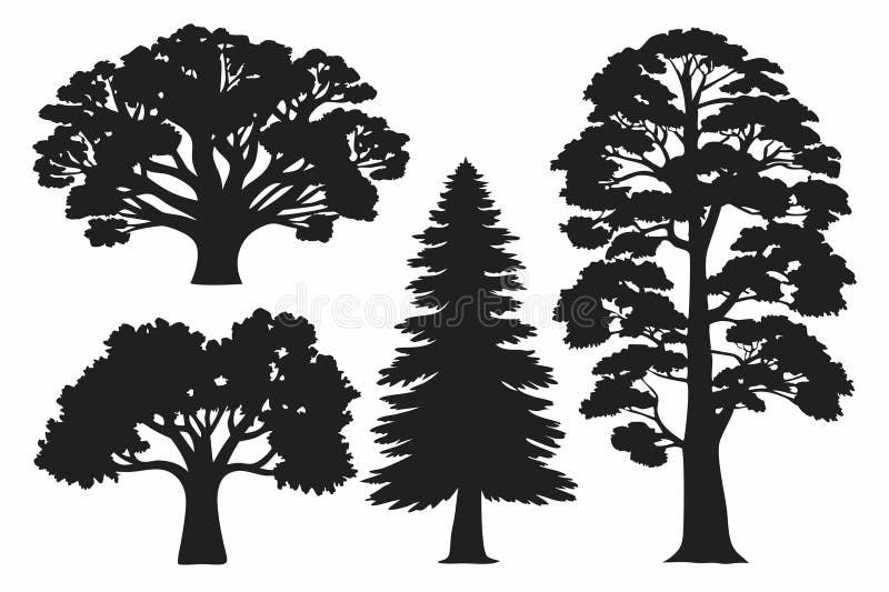 Cedar Tree Black Colour Silhouette Vector Stock Illustration ...