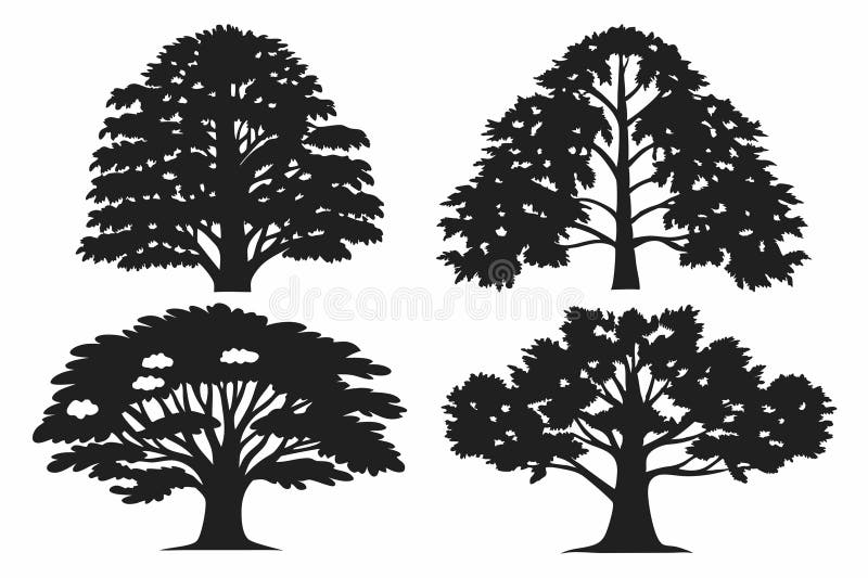 Cedar Tree Black Colour Silhouette Vector Stock Illustration ...
