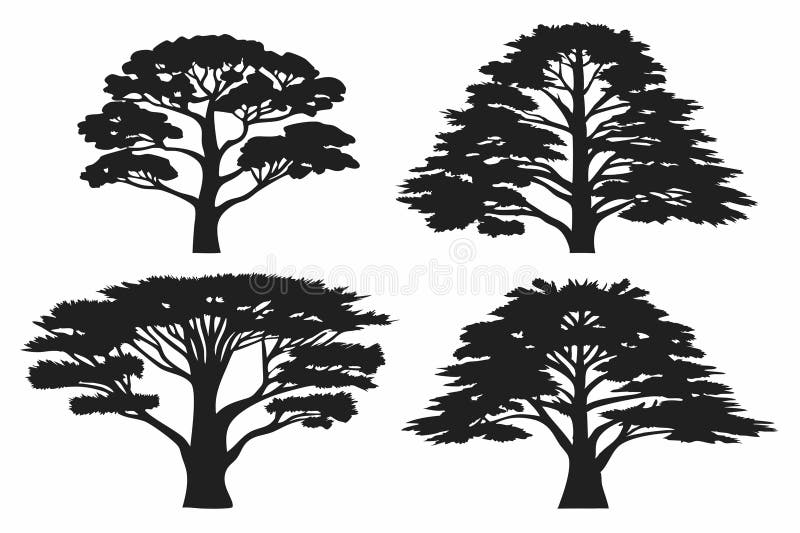 Cedar Tree Black Colour Silhouette Vector Stock Illustration ...