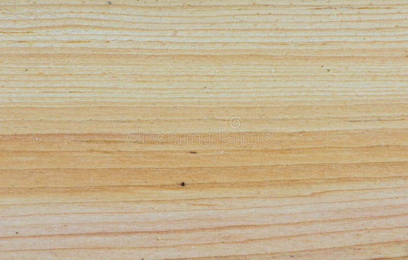 Cedar tree wood texture stock photo. Image of decorative - 72738624