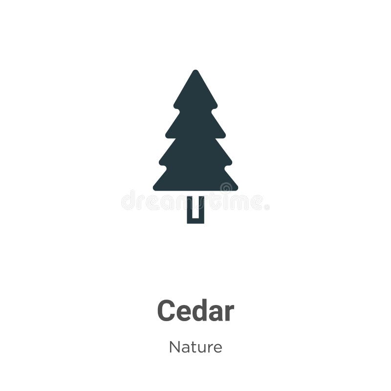 Cedar Vector Icon on White Background. Flat Vector Cedar Icon Symbol ...