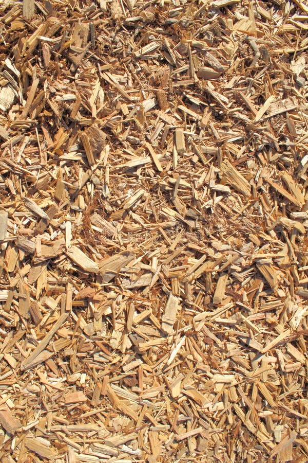 Cedar wood chip background stock photo. Image of ground - 23604634