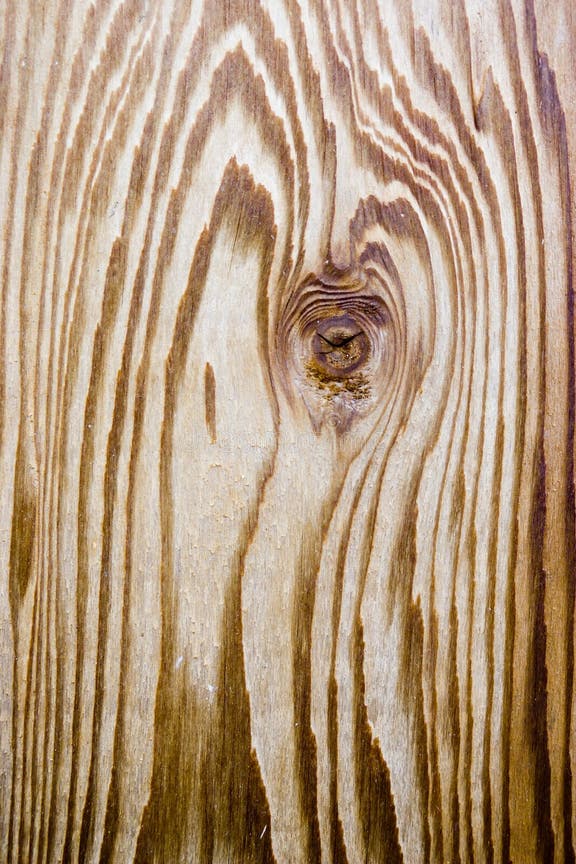 Cedar wood grain stock photo. Image of hole, wood, knothole - 5470328