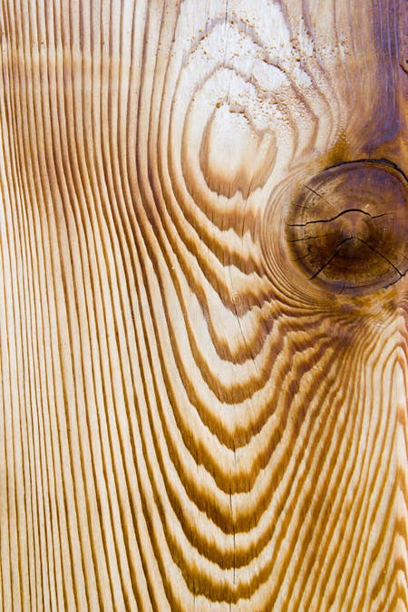 Cedar wood grain stock image. Image of construction, building - 5831509