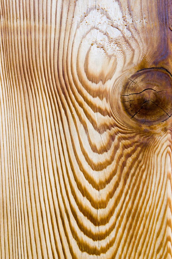 Cedar wood grain stock image. Image of construction, building - 5831509