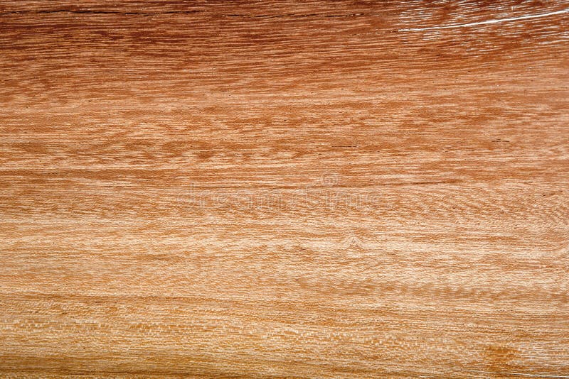 Wood board texture stock photo. Image of natural, pattern - 125470630