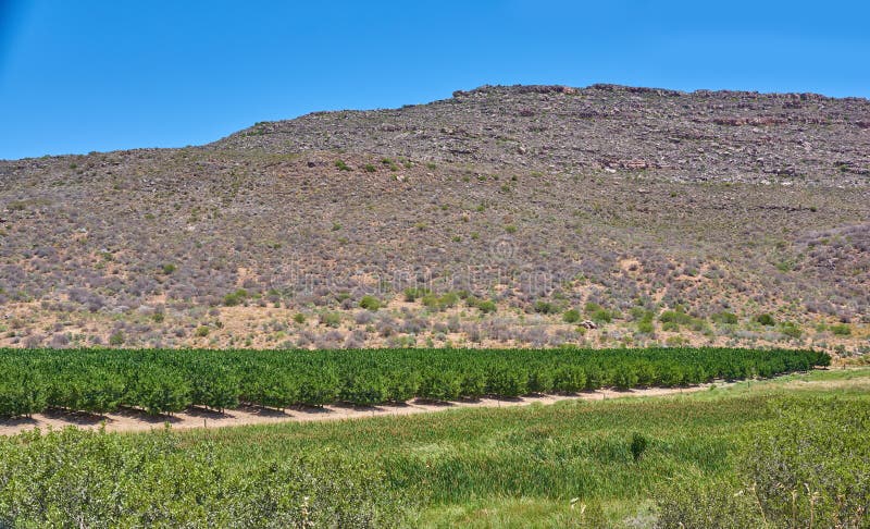 Cedarberg Wilderness Area - South Africa Stock Image - Image of nature ...