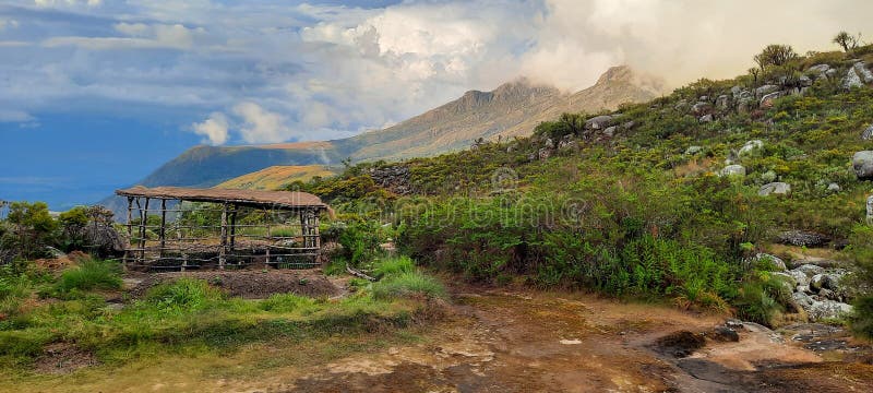 Ceder Nursery in Mount Mulanje Stock Image - Image of granite, safari ...
