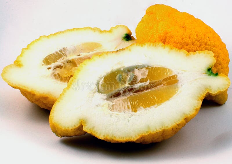 Cedri fotografia stock. Immagine di prodotti, biologico - 42911514