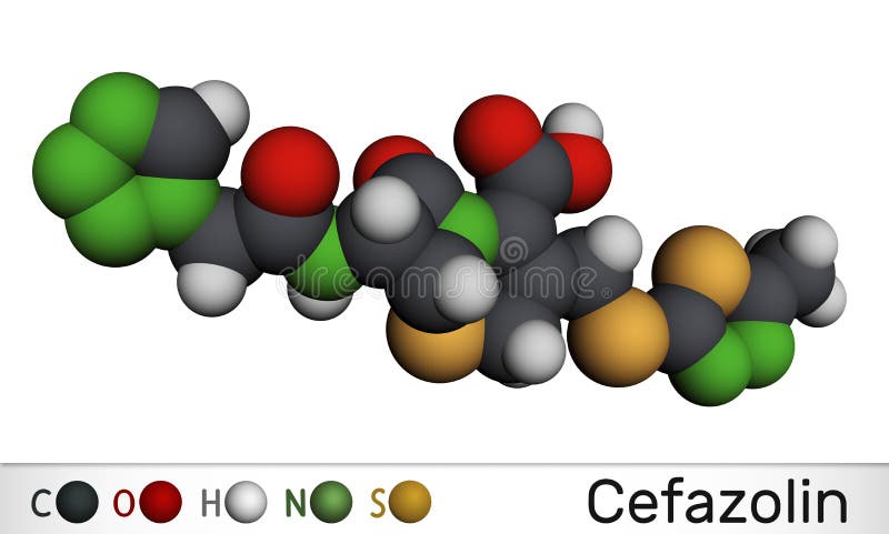 Cefazolin, Cefazoline, Cephazolin Molecule. it is S Beta-lactam ...