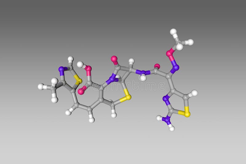 Cefditoren, Cephalosporin Antibiotic. Molecular Model on Gray ...