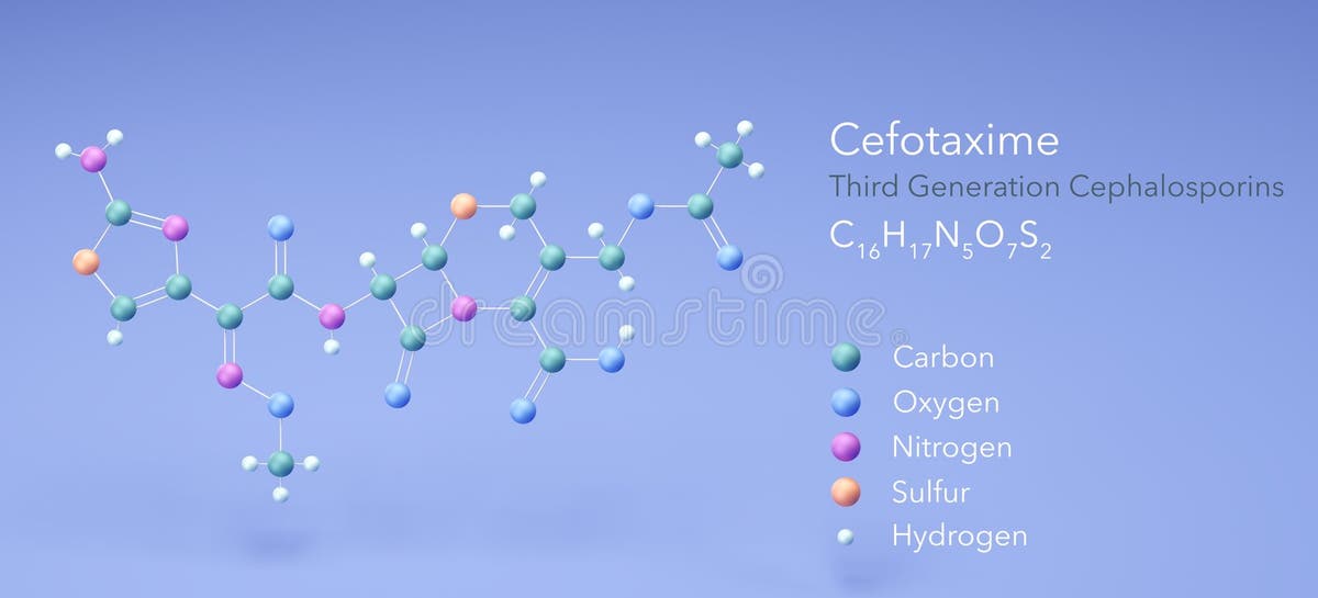 Cephalosporins Stock Illustrations – 38 Cephalosporins Stock ...