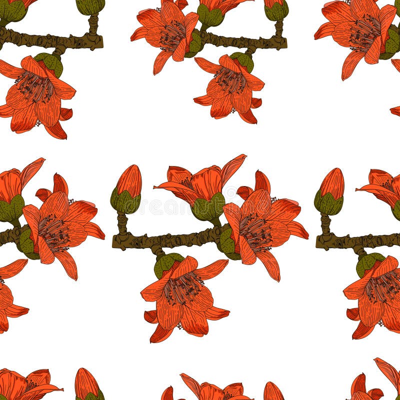 Ceiba Stock Illustrations – 374 Ceiba Stock Illustrations, Vectors ...