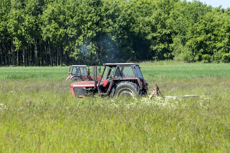 Ceifa imagem de stock. Imagem de trator, ceifa, vila - 63777443