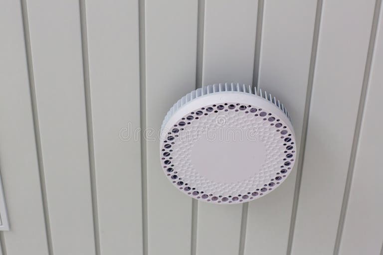 Ceiling Access Point Wifi. Wireless Router for Network,hang on the ...