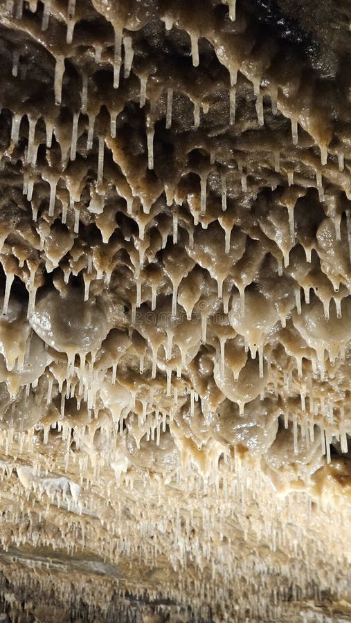 A Ceiling Densely Covered with Stalactites, Formed from Mineral ...