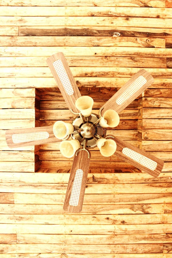 200 Wooden Slat Ceiling Stock Photos - Free & Royalty-Free Stock Photos ...