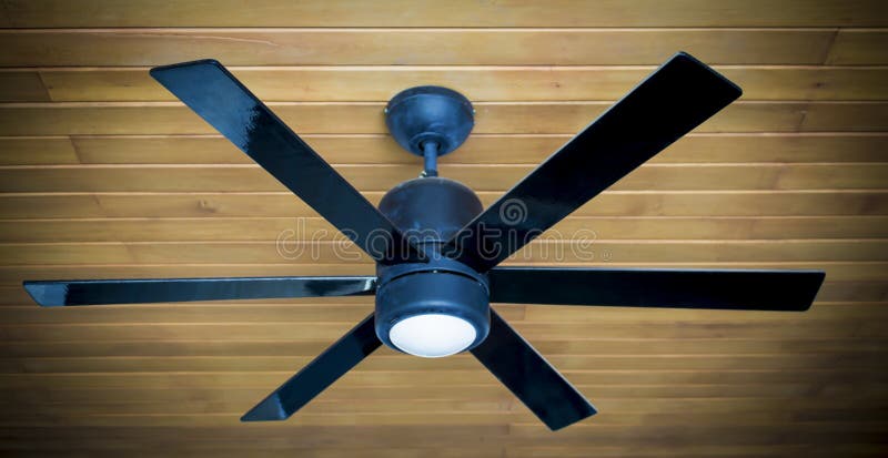 Ceiling fans stock photo. Image of fans, architecture - 68484326
