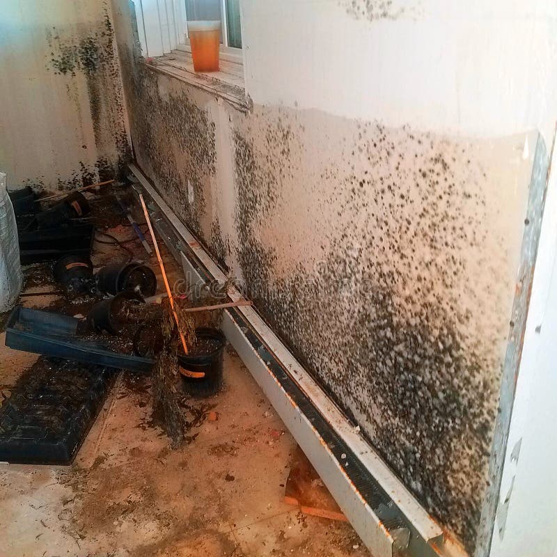 Crumbling Ceiling with Hanging Insulation Destroyed by Moisture Stock ...