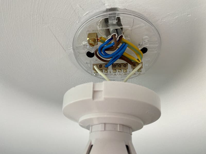 Light wiring ceiling rose stock image. Image of rose - 203590331