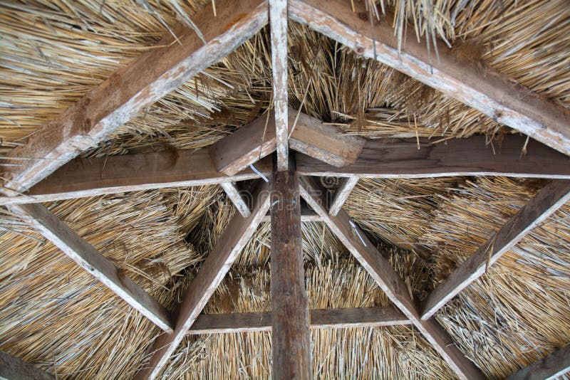 Thatch Or Straw Roof Interior Stock Photo - Image of ancient, plant ...