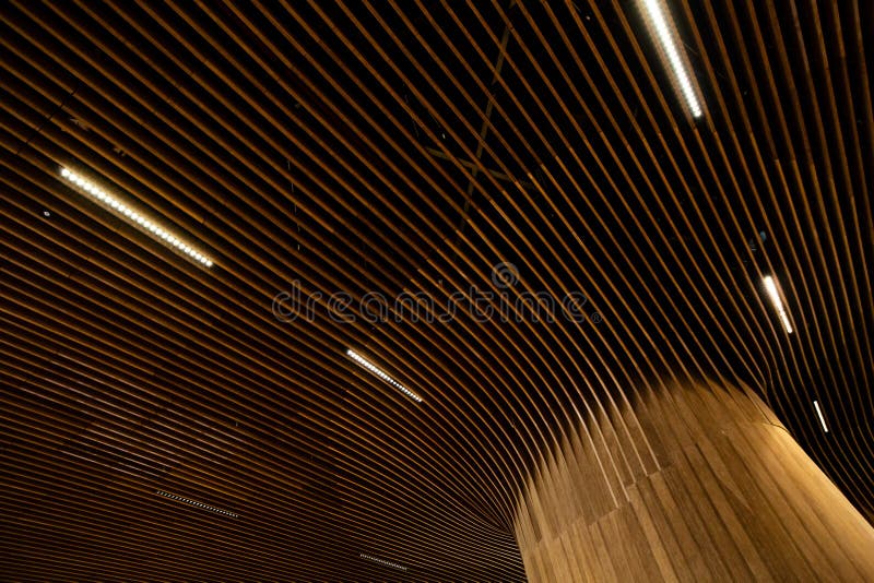 Ceiling in a Modern Luxurious Building with Vertical Stripes and Built ...