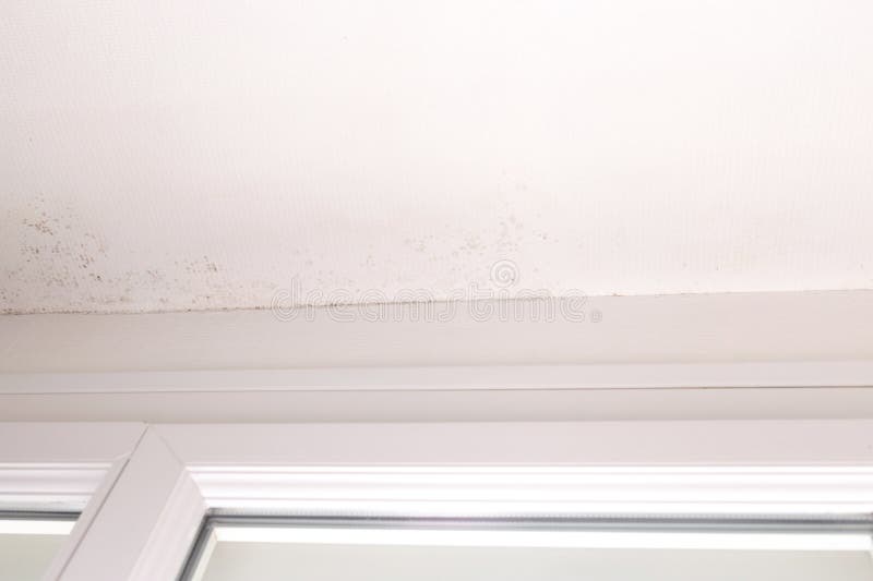 Ceiling Near Window Frame with Mold Spots and Moisture Damage on White ...
