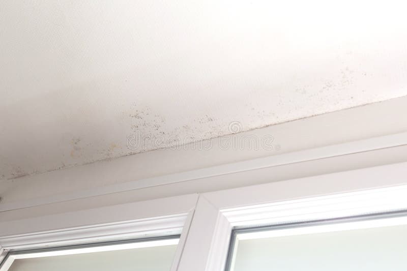 Ceiling Near Window Frame with Visible Mold Spots and Moisture Damage ...