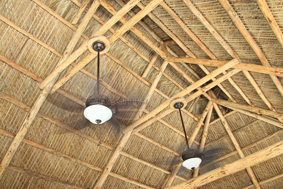 Ceiling rafters stock photo. Image of detail, real, pine - 23434356