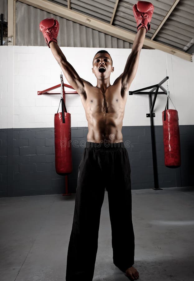 Celebrating boxer stock image. Image of athlete, martial - 23112185