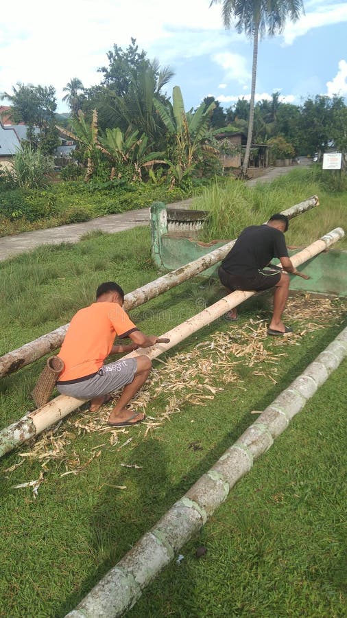 Celebration Preparations of Panjat Pinang Traditional of Indonesian ...