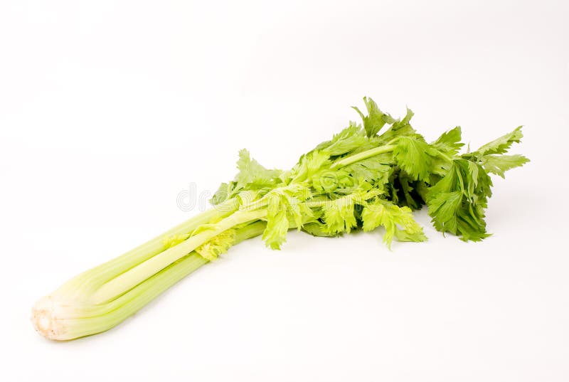 Chinese vegetable-chye sim stock photo. Image of fresh - 4538854