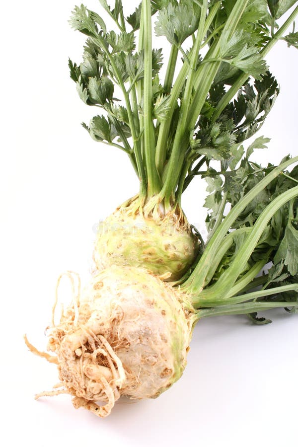 Celery stock image. Image of health, nutrition, cook, vegetable - 1309327
