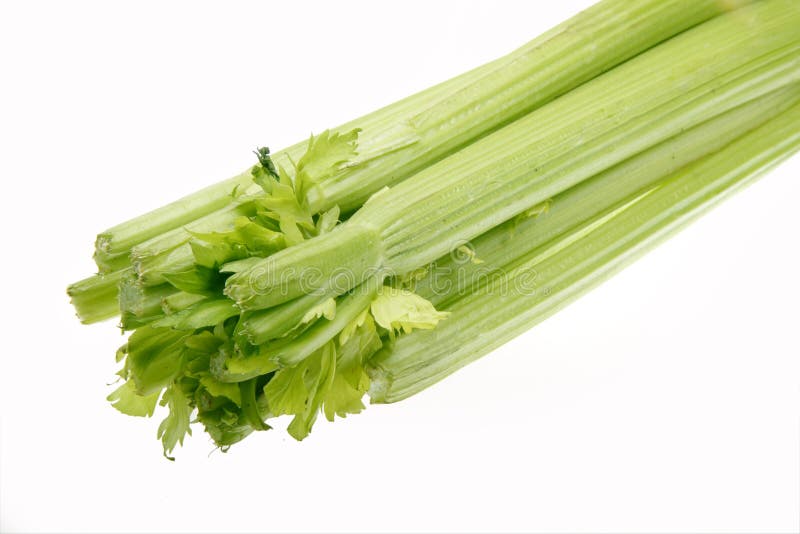 Fresh celery stock image. Image of life, cellery, celery - 13730801