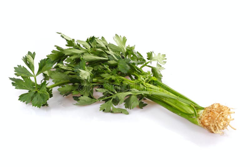 Celery stock photo. Image of gardening, fresh, healthy - 28946764