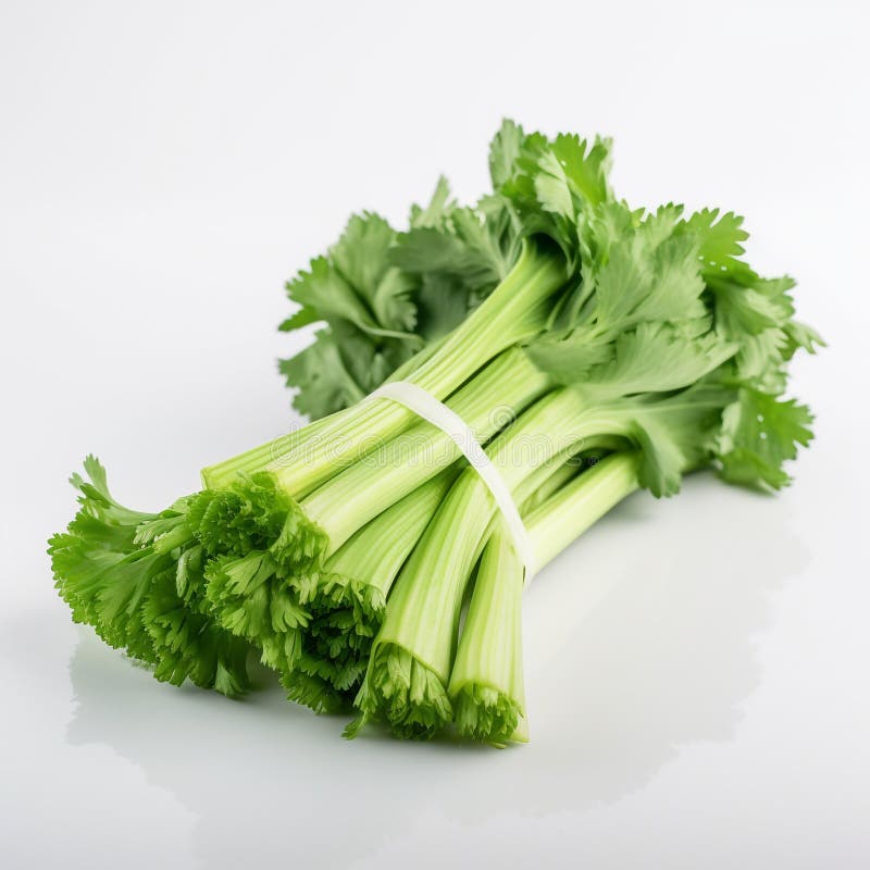 Arranged Bundle Stock Illustrations – 125 Arranged Bundle Stock ...