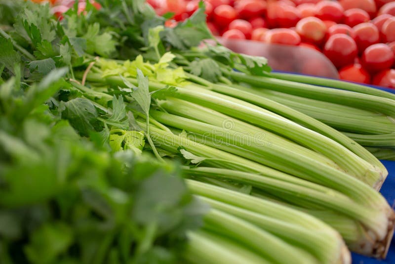 Celery at farmers market stock image. Image of recipe - 254818711