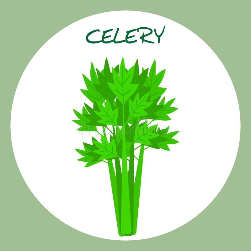 Celery Icon in Flat Style. Vector Illustration. Stock Vector ...