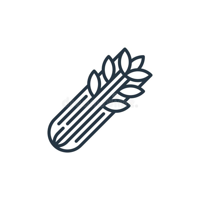 Celery Icon Vector from Food and Drinks Allergy Concept. Thin Line ...