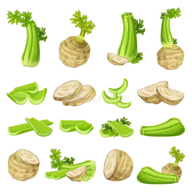 Celery Icons Set Cartoon Vector. Food Healthy Stalk Stock Vector ... Celery Icons Set Cartoon Vector. Food Healthy Stalk Stock Vector ...