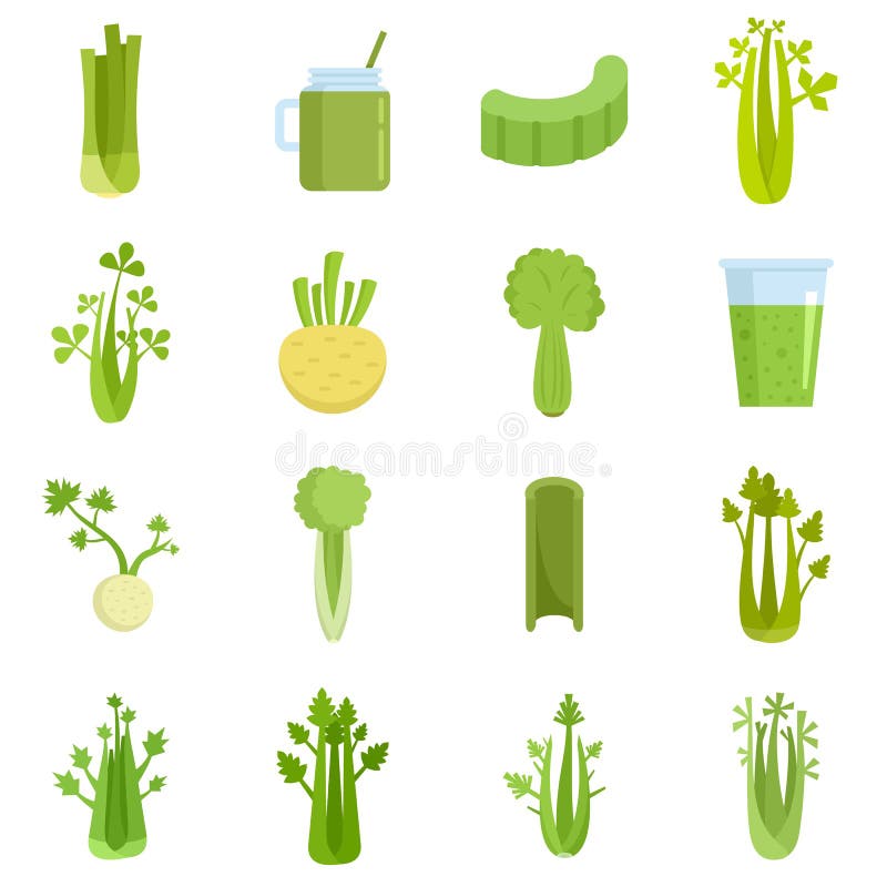 Celery Icons Set Flat Vector Isolated Stock Vector - Illustration of ...