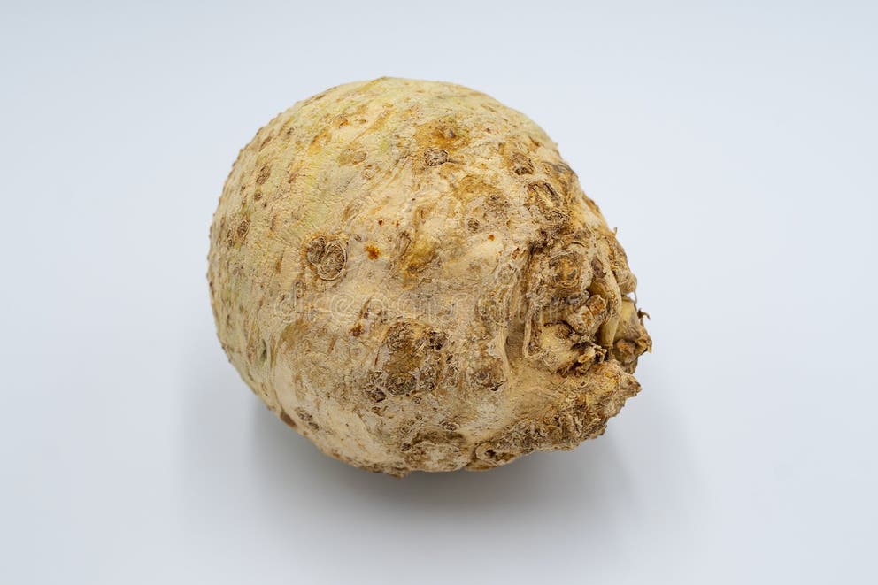 Fresh Celery Root on a White Background. Vegetable, Healthy Food. Stock ...
