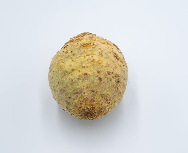 Fresh Celery Root on a White Background. Vegetable, Healthy Food. Stock ...